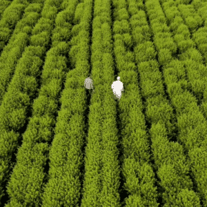 Depuis 2010 Horizon 2050