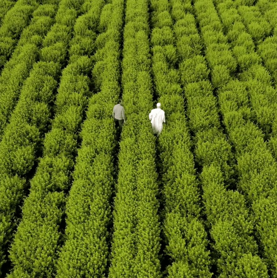 Since 2010 Horizon 2050